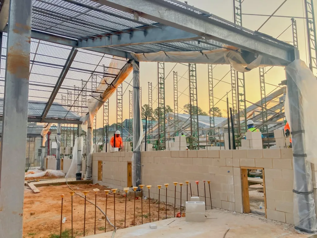 Chimp Haven - WIELAND